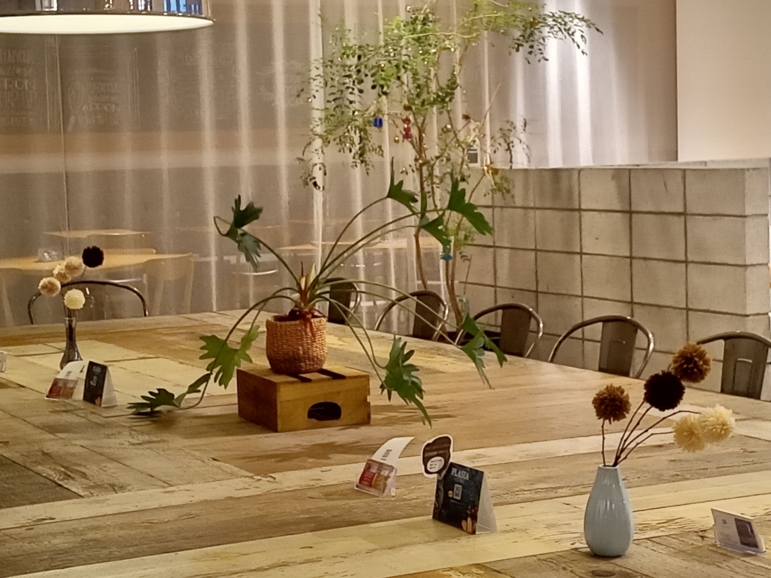 PLASIA KITCHEN - 障がい者の支援事業を行う 社会福祉法人白梅会 - 東京都府中市